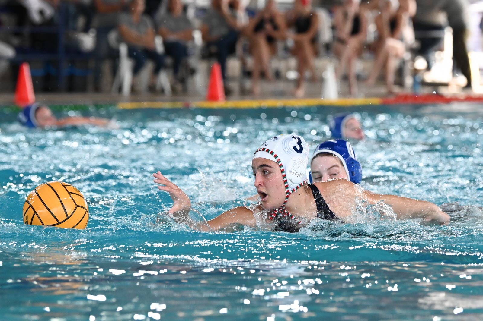 Serie A1: Bogliasco 1951-Ekipe Orizzonte 8-16 - EKIPE ORIZZONTE